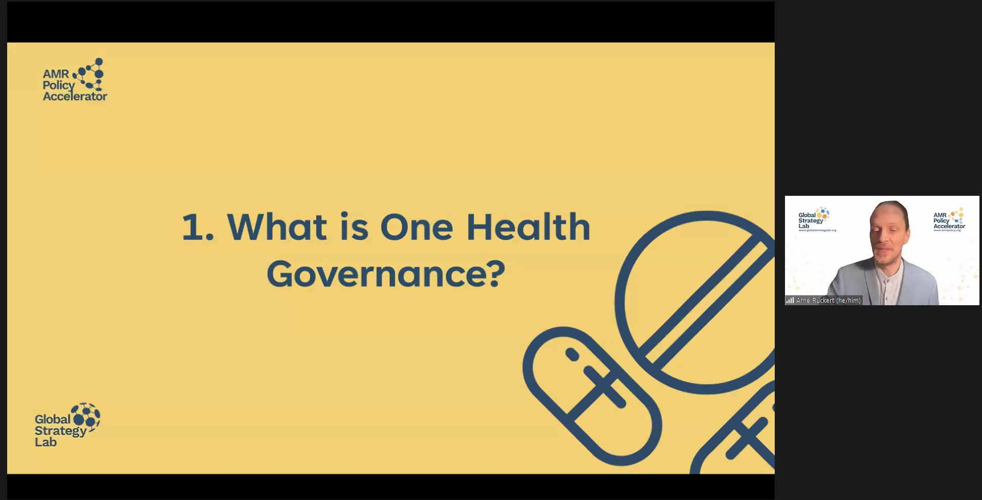 Recap — Strengthening One Health Governance for AMR Mitigation, with ...