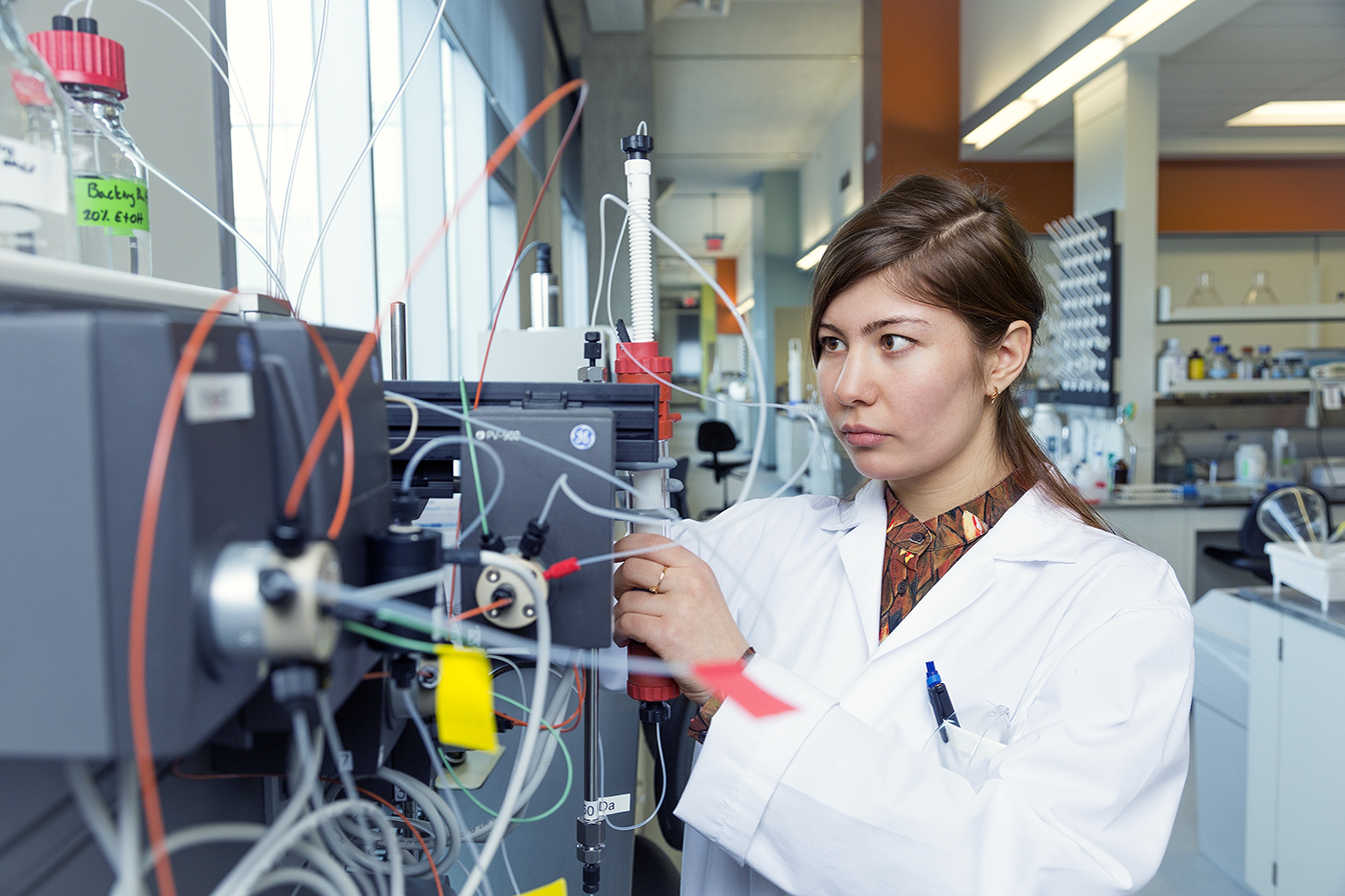 Graduate Programs - Markham Campus