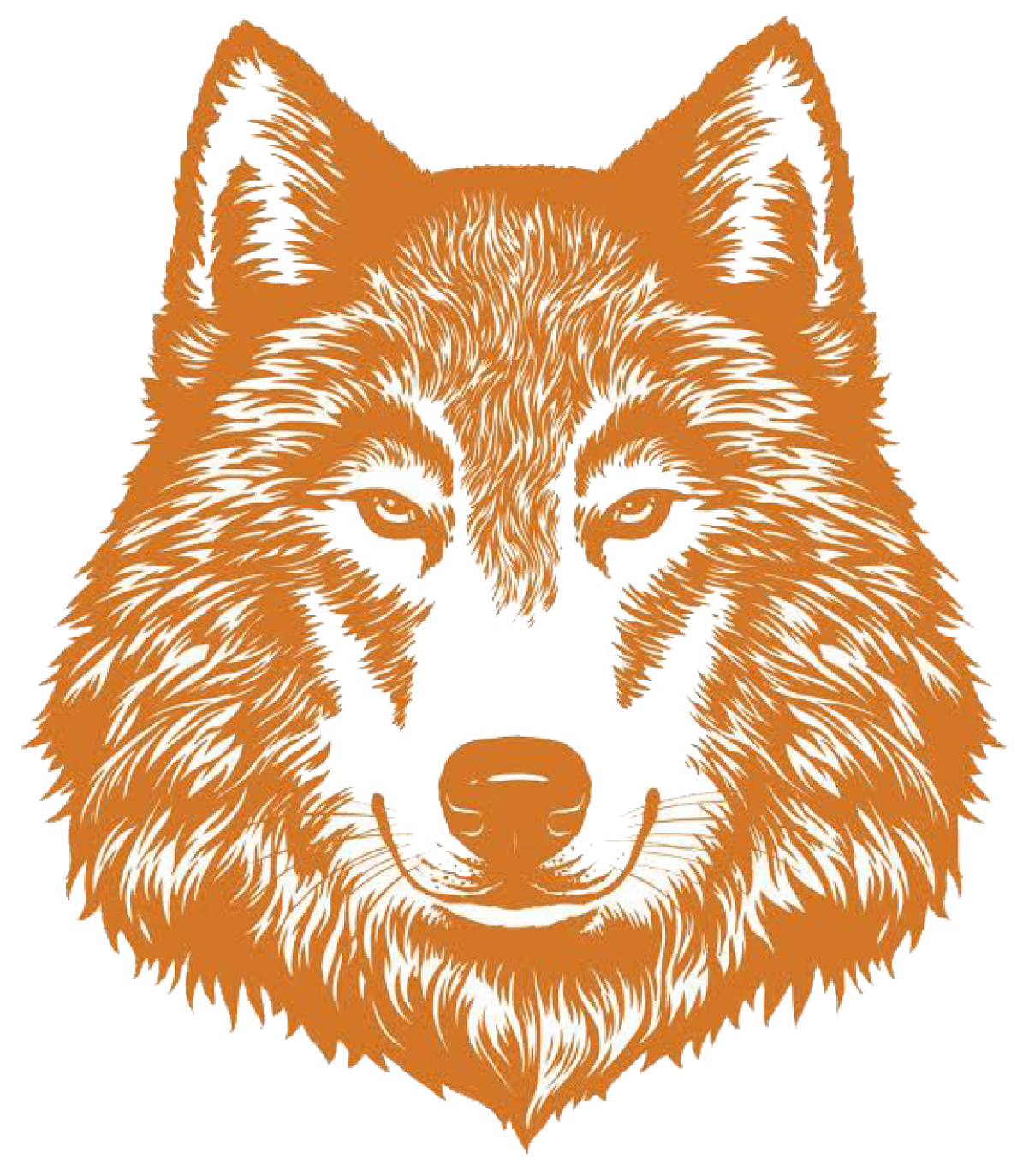 Orientation Week Events | Transition and Orientation