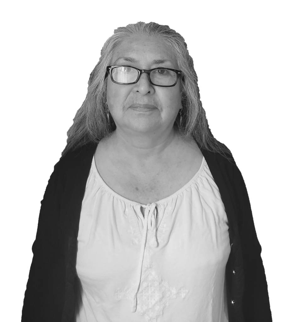 Kitchener-Waterloo Community/ Government Partners - Building Migrant ...