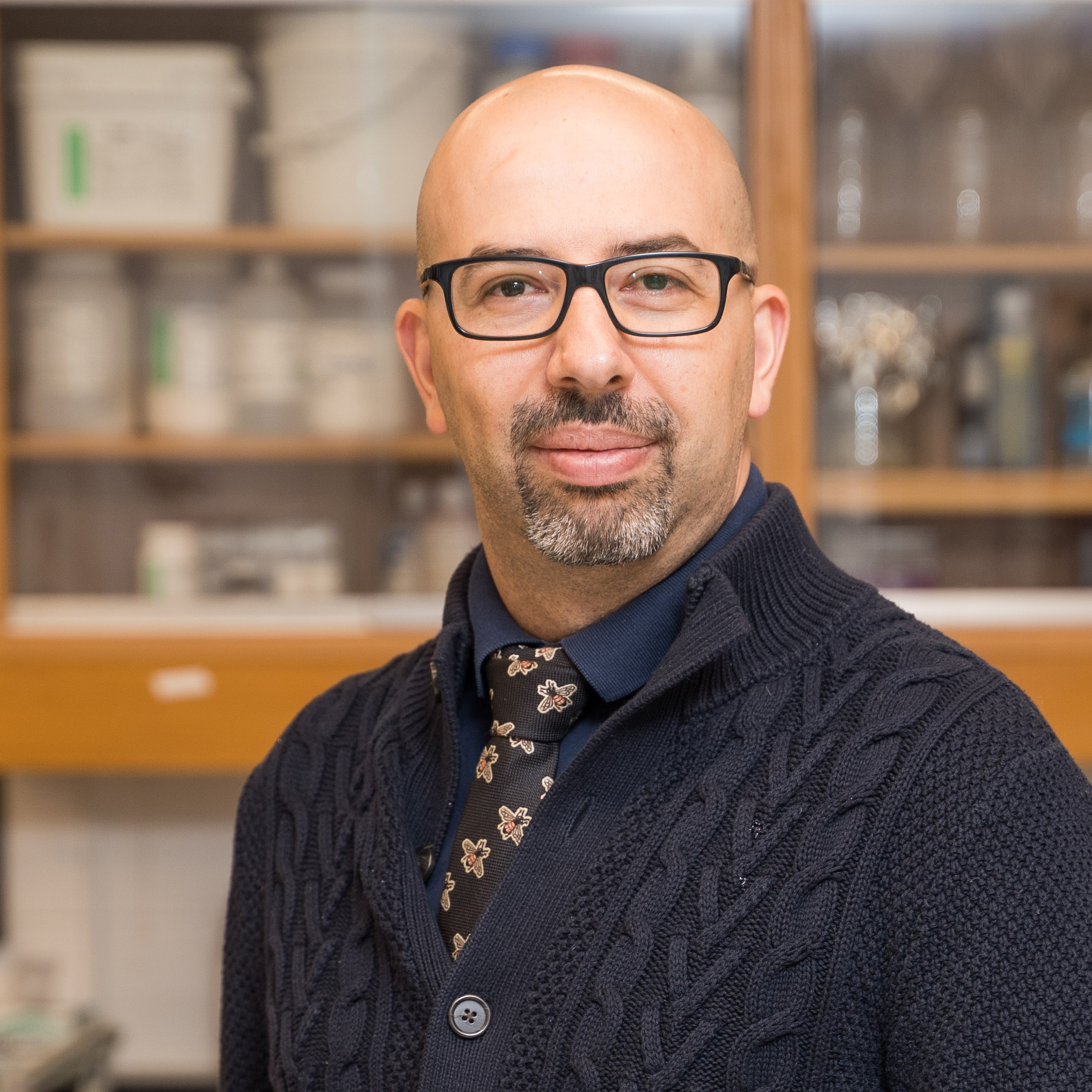 Faculty of Science researchers recognized with York Research Chair ...