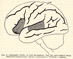 Classics in the History of Psychology -- James (1890) Chapter 2