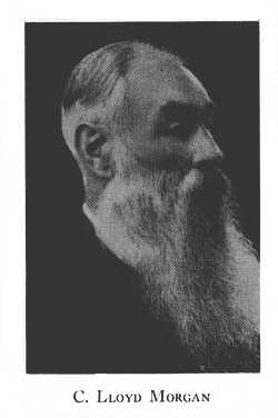 Classics in the History of Psychology -- Morgan (1930)
